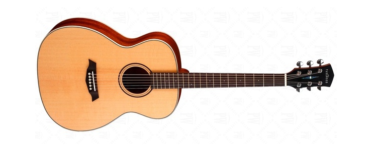 Parkwood S22-GT - Заказать или купить в музыкальном магазине gibsonshop.ru